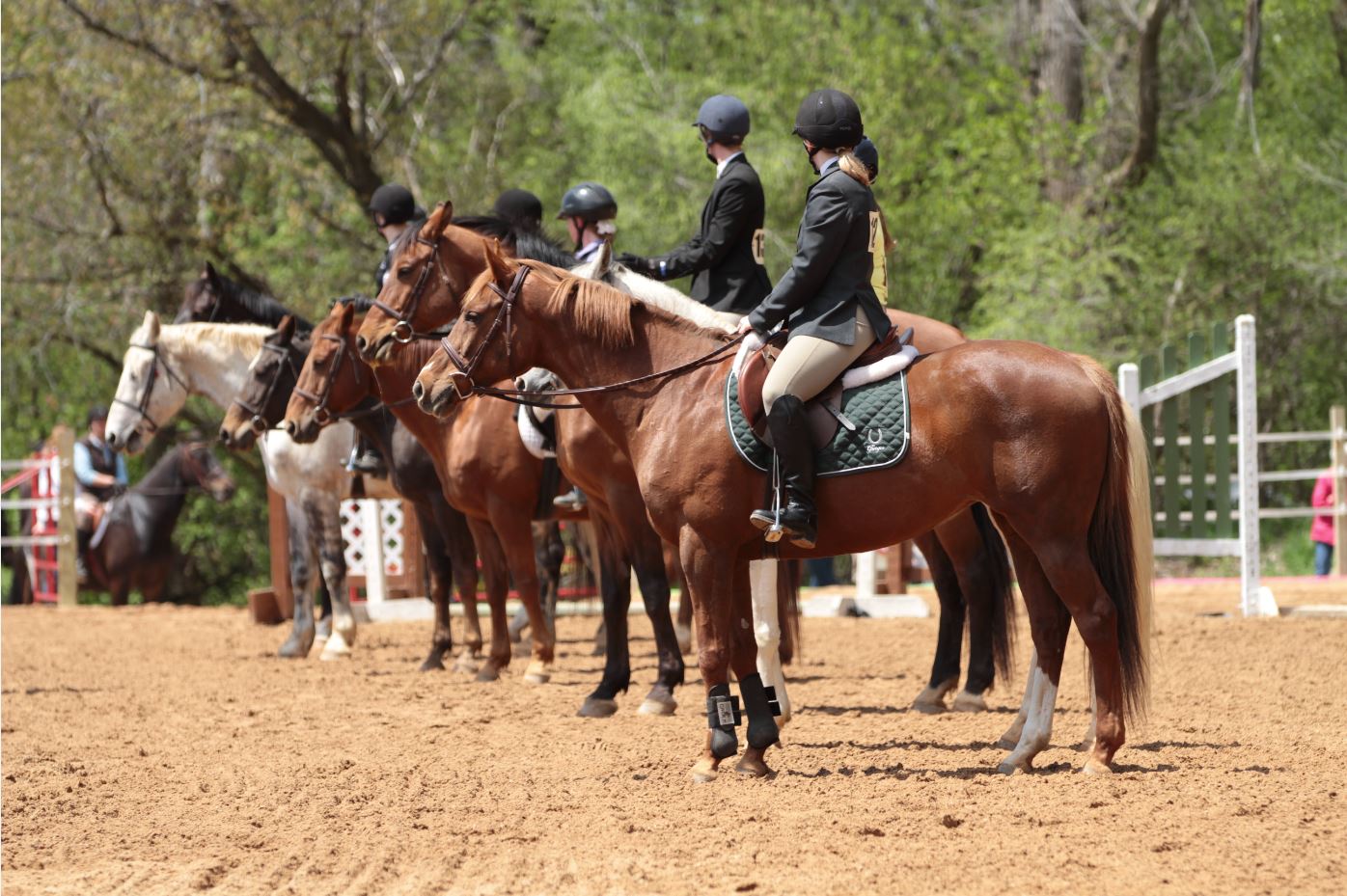 Riding Club Liability Insurance - Allen Financial Insurance